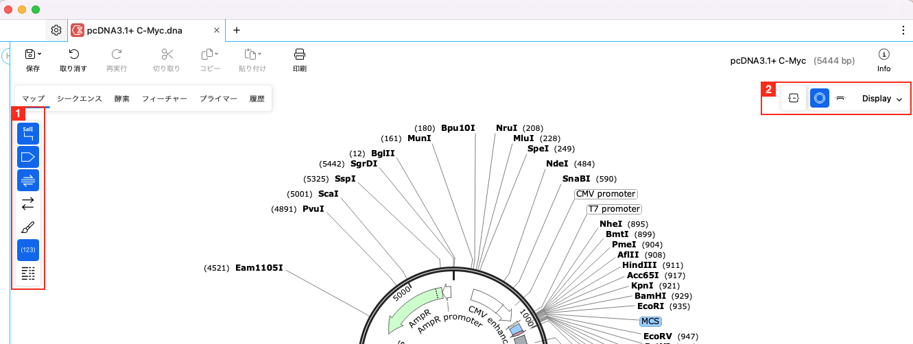 遺伝子工学実験支援ソフトウェアSnapGene 8.0：基本操作