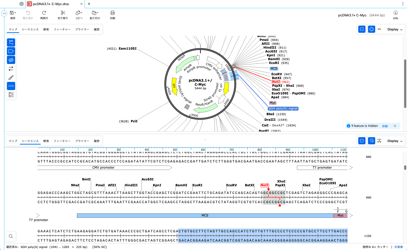 遺伝子工学実験支援ソフトウェアSnapGene 8.0：基本操作