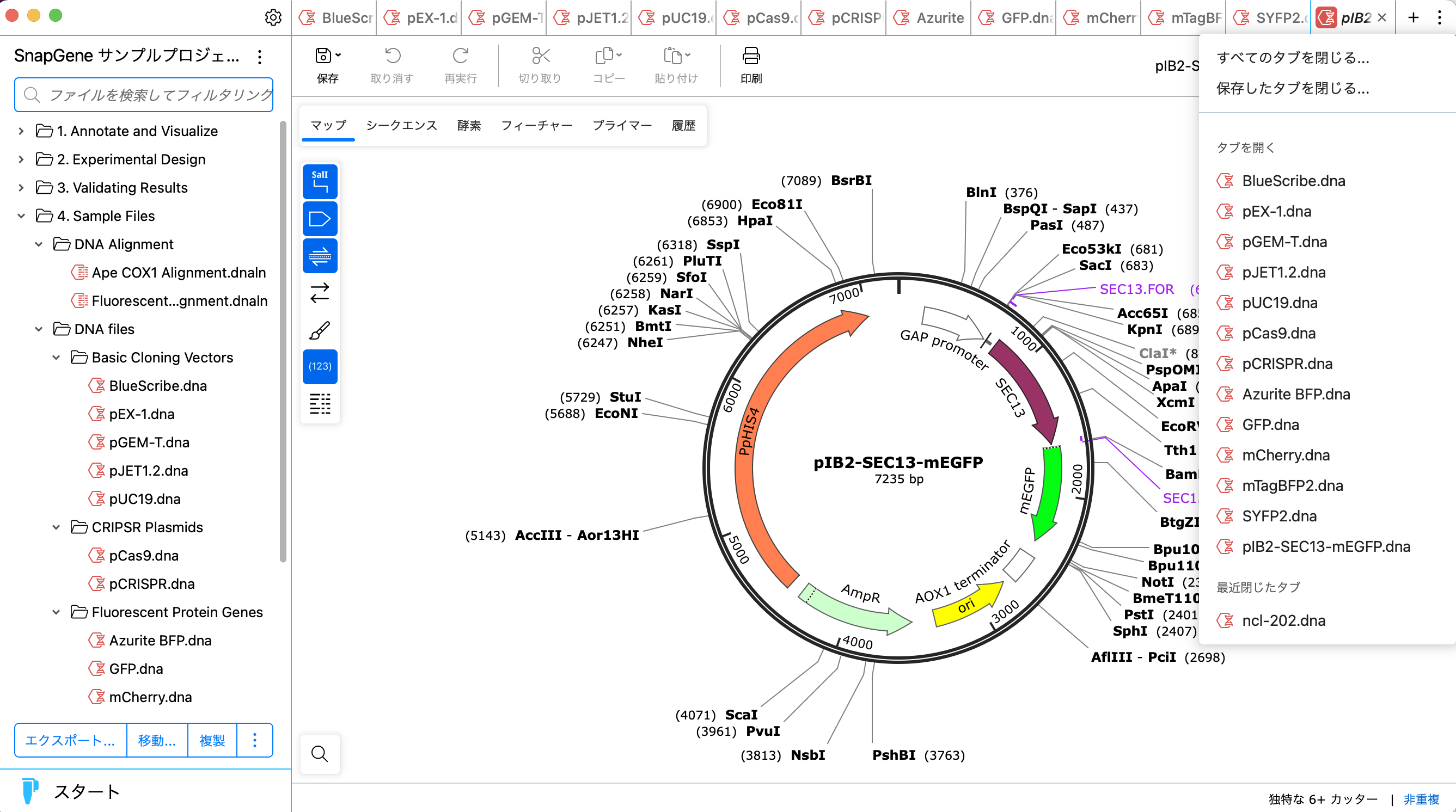 遺伝子工学実験支援ソフトウェアSnapGene 8.0：基本操作